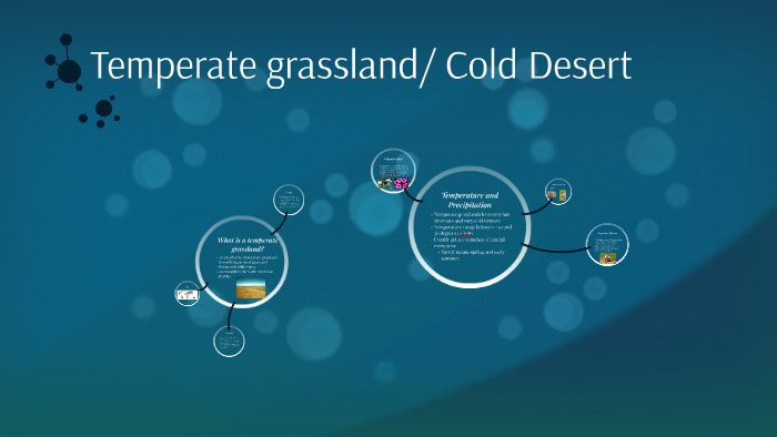 Temperate grassland/ Cold Desert by Hellen Kuang on Prezi