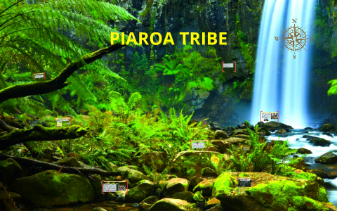 PIAROA TRIBE by Ethan Dean on Prezi