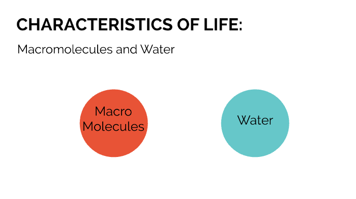 Characteristics of Life: Macromolecules and Water by Ryan Mayberry on Prezi
