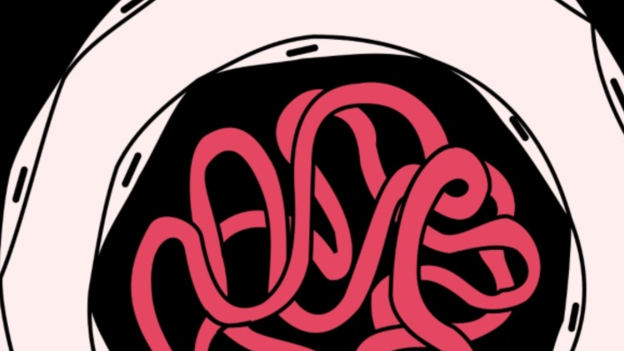 Glomérulo y Cápsula de Bowman by Laura Orjuela on Prezi