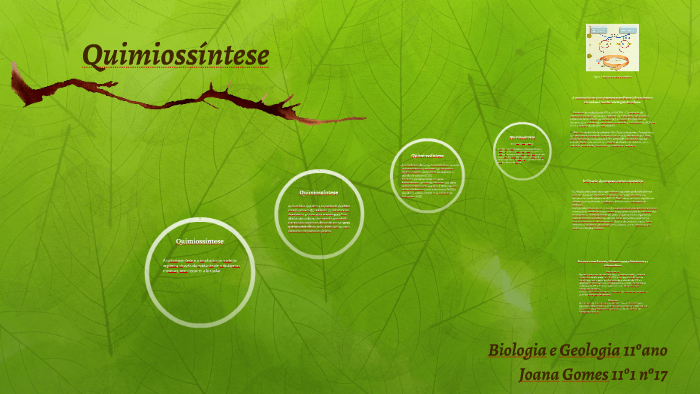 Quimiossíntese by Joana Gomes on Prezi
