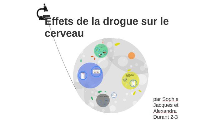 Effets de la drogue sur le cerveau by Dominique Jacques on Prezi