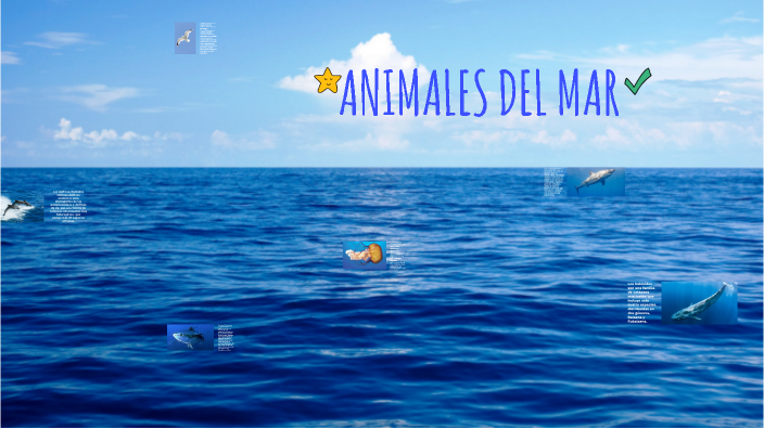 Animales del mar by Raul C.Ñ on Prezi