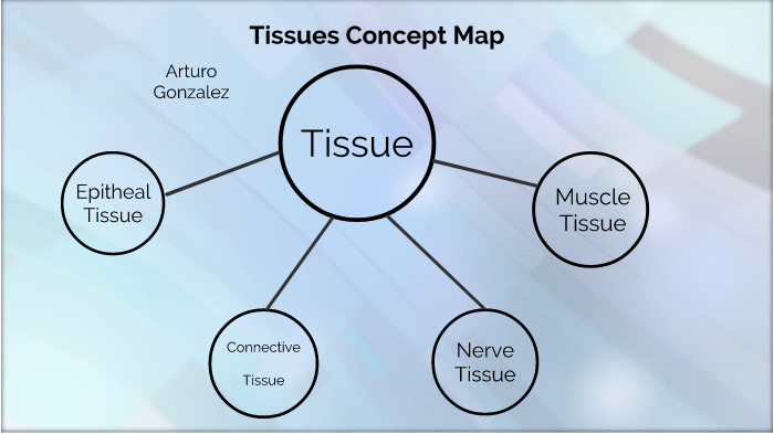Tissue Integrity Concept Map 