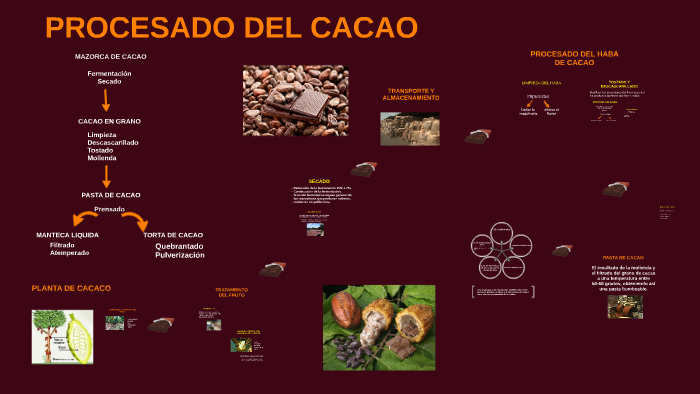 PROCESADO DEL CACAO by patricia Esquinas martinez on Prezi