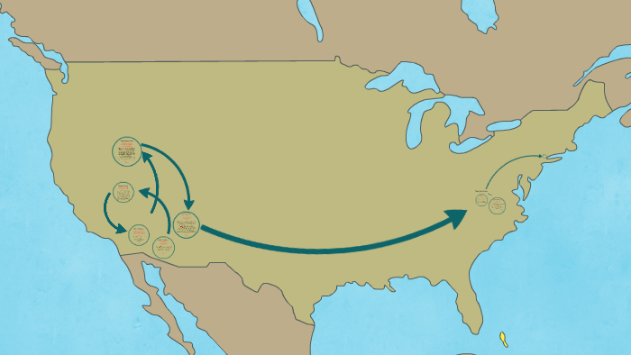 The Glass Castle Timeline by Audrey Searles on Prezi