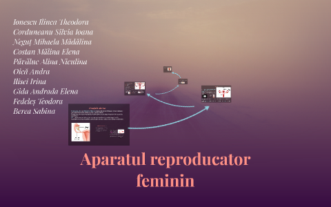 Aparatul reproducator feminin by Ioana Iwa on Prezi