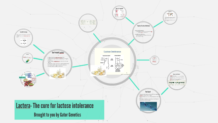 Lactera by Emily Harris on Prezi