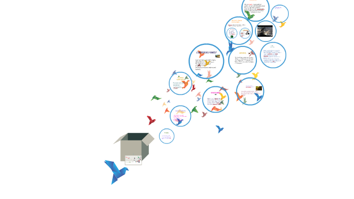 ECOSYSTEMS by andrea tena on Prezi