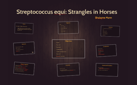 Streptococcus equi: Strangles in Horses by Shalayne Mann on Prezi