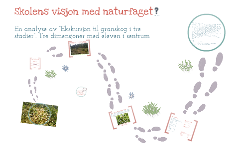 Analyse av ekskursjon til granskaog ved Nesodden vgs høst 2012 by ketil ...
