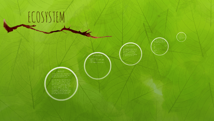 ECOSYSTEM by on Prezi
