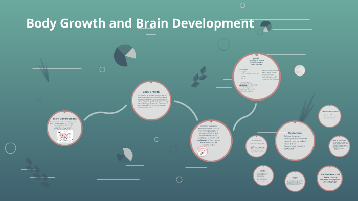 Body Growth and Brain Development by on Prezi