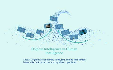 Dolphin Intelligence by on Prezi