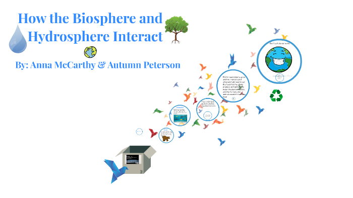 How the Biosphere and Hydrosphere interact by Anna McCarthy on Prezi