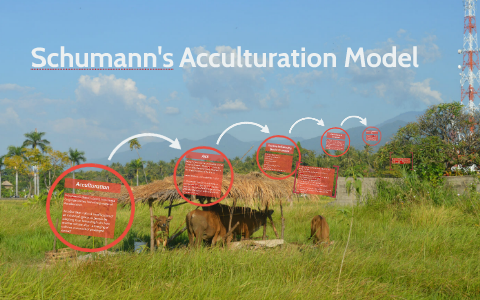 Schumann's Acculturation Model by Hannah Langendorf on Prezi