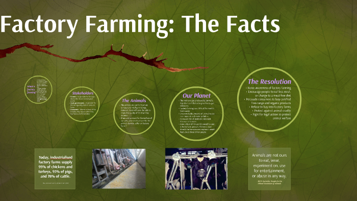 Factory Farming: The Facts by Paris Pellegrino on Prezi
