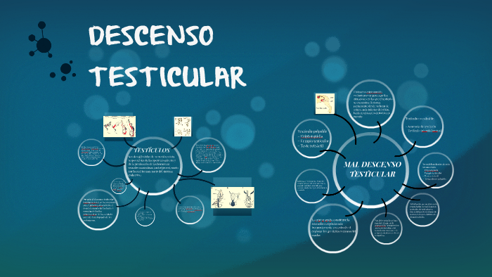 DESCENSO TESTICULAR by Chicho Gonzalez on Prezi