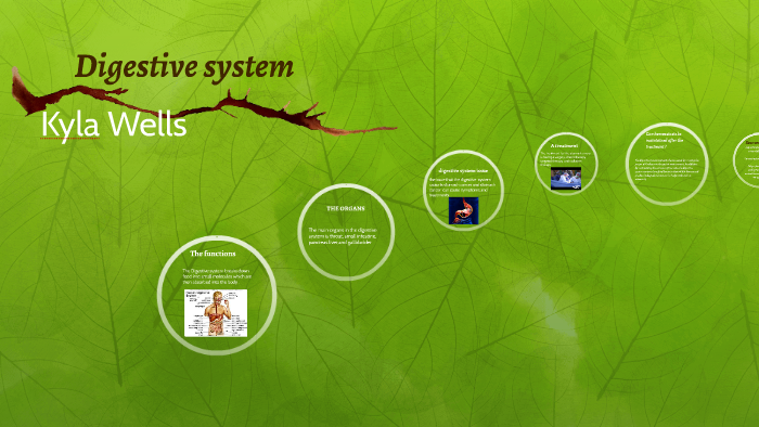 Digestive system by kyla wells on Prezi