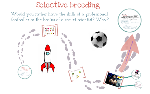 Selective breeding by Verity Sullivan on Prezi