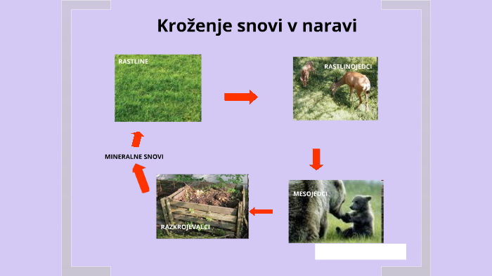 kroženje snovi by K V on Prezi