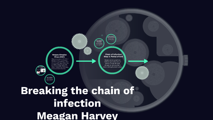 Breaking the chain of infection by Brianna Harvey on Prezi