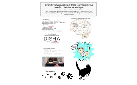 Cognitive Dysfunction in Cats: A syndrome we used to dismiss by Caitlin ...