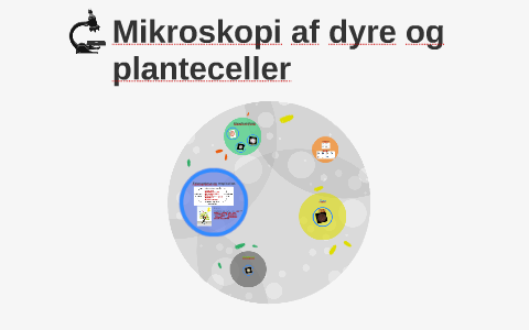 Mikroskopi af dyre og planteceller by Josephine Frederiksen on Prezi