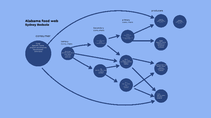 Alabama food web by Sydney Bedsole on Prezi