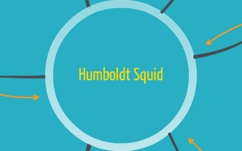 Red Devil Squid by Chloe Croghan on Prezi