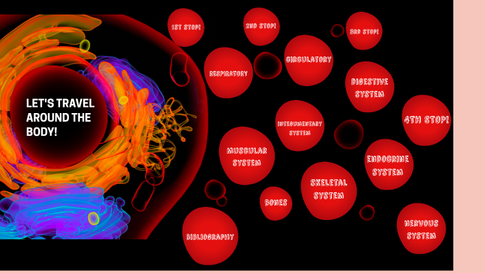 Travel Brochure of the Human Body by Ashley Duarte-Flores on Prezi