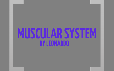 BTEC Sport - LEVEL 3 - Muscular System by leo howe on Prezi