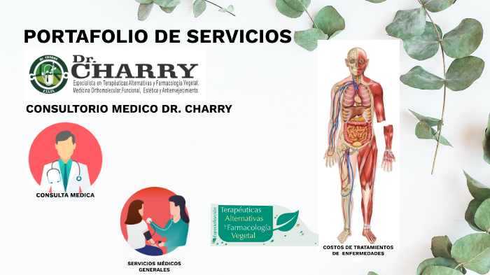 Servicios Consultorio Medico Dr Charry by Ricardo Quiza Rios on Prezi