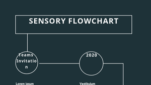SENSORY FLOWCHART by rio amor on Prezi Design