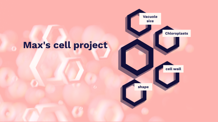 max comparing cells by Steven Emmons on Prezi