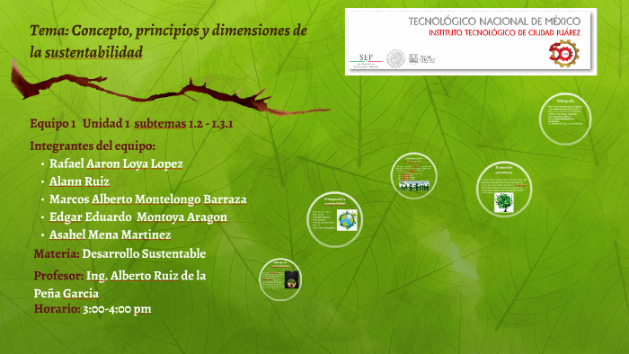 Tema: Concepto, principios y dimensiones de la sustentabilid by Aaron Loya on Prezi