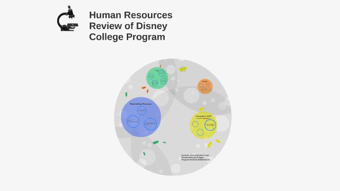 Human Resources Review of Disney College Program by Juliana Rezende on ...