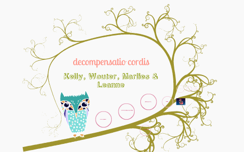 Decompensatio cordis by Leanne Steijger on Prezi