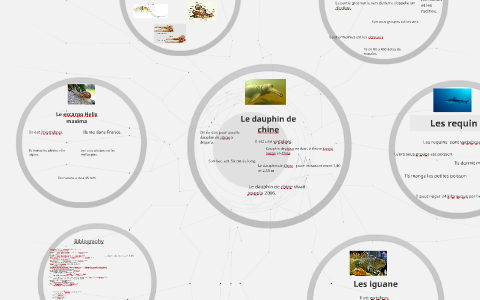 Le projet de vertebres et invertebres by TS Room18 on Prezi
