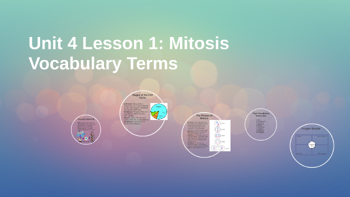 Mitosis Vocabulary by Kelsea Manning on Prezi