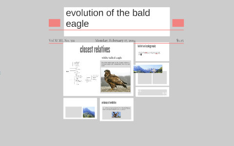 evolution of the bald eagle by julien ramos on Prezi