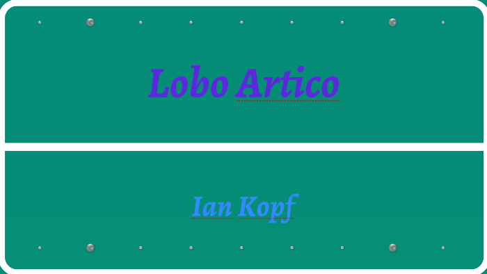 Lobo Artico by ian kopf on Prezi