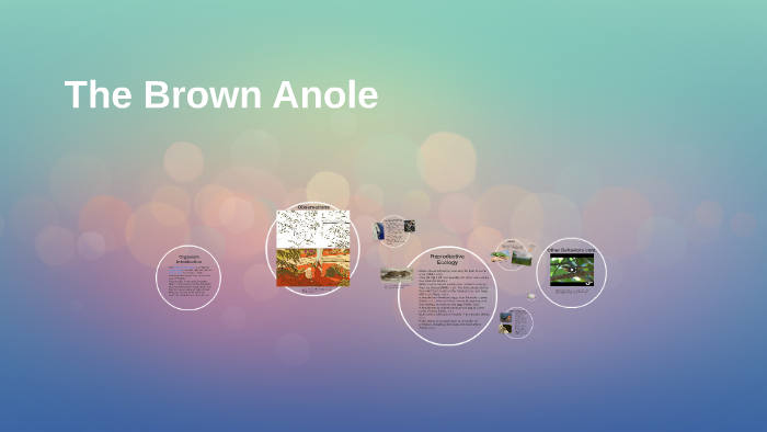 Organism Introduction by L K on Prezi