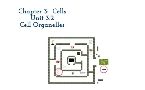 9th Grade Biology Cell Organelles by Stephanie Streight on Prezi