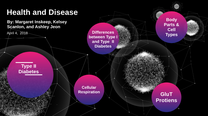 Cellular Respiration Visual by Margaret Inskeep