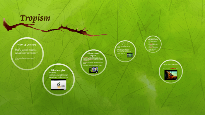 Tropism by tim watson on Prezi
