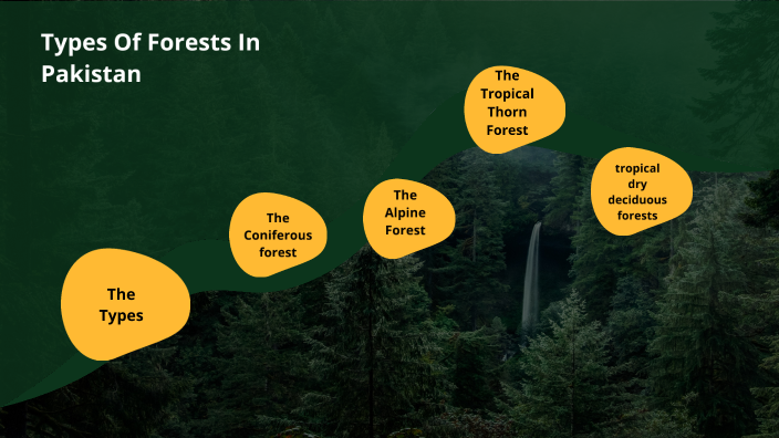 Types of forests in Pakistan by MISHAL HASAN on Prezi
