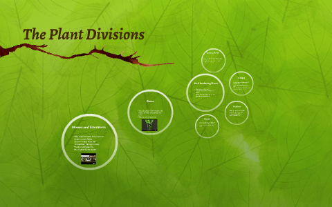 The Plant Divisions by Ben Moore on Prezi