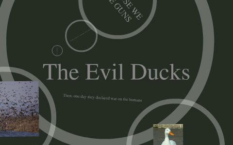 The Evil Ducks by Taylor Teasley
