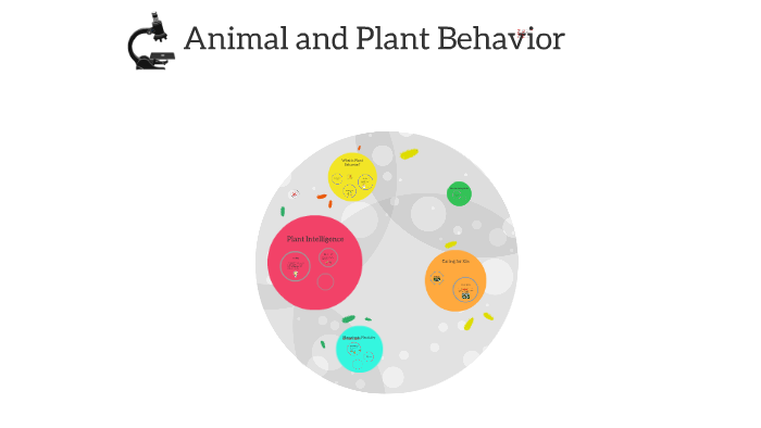 Animal and Plant Behavior by Farah Tasnim on Prezi